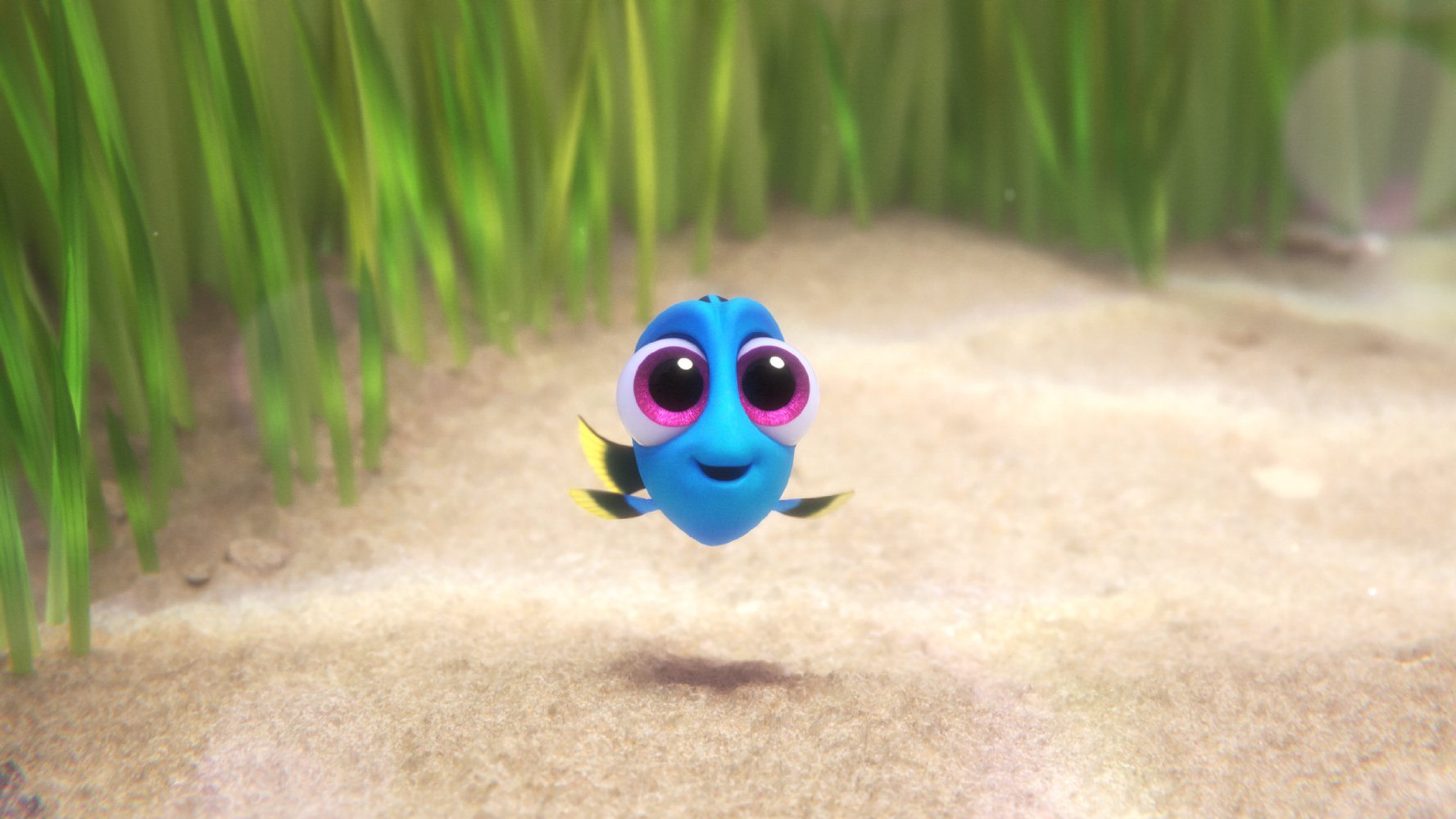 Đi tìm Dory - một con cá bị mất trí nhớ ngắn hạn - Finding Dory — Khen Phim