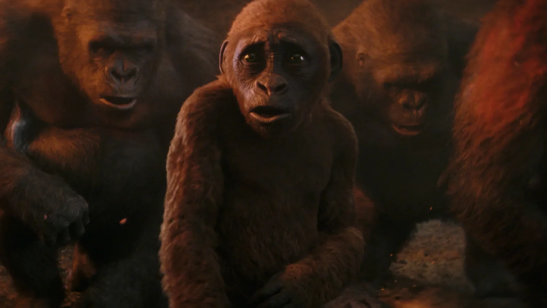 Review phim Godzilla x Kong: Đế Chế Mới - Phê từ nghe đến nhìn — Khen Phim
